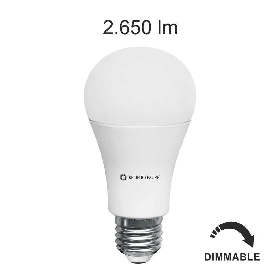 Lampe Led E27 17W Beneito et faure 3000k 1600 lumens dimmable | prozic.com